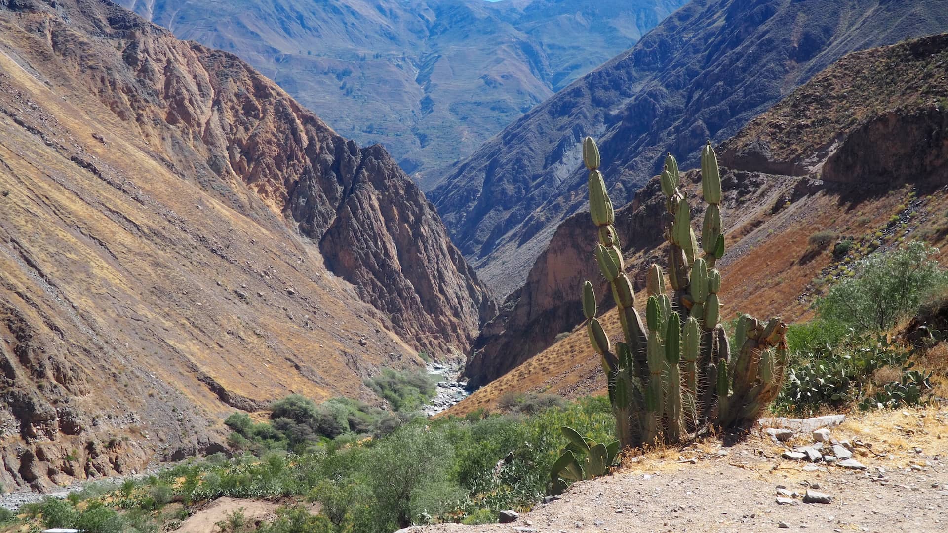 A Three Day Guide To The Astonishing Colca Canyon in Peru | Above Us ...